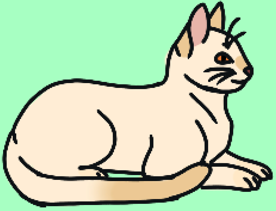 Saltstar Fan Made Warrior Cat Wiki Fandom