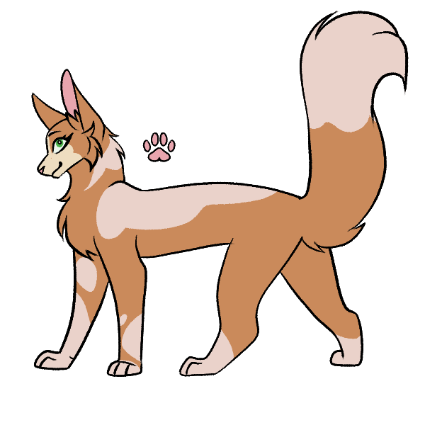 Maplefoot | Fan-Made Warrior Cat Wiki | Fandom