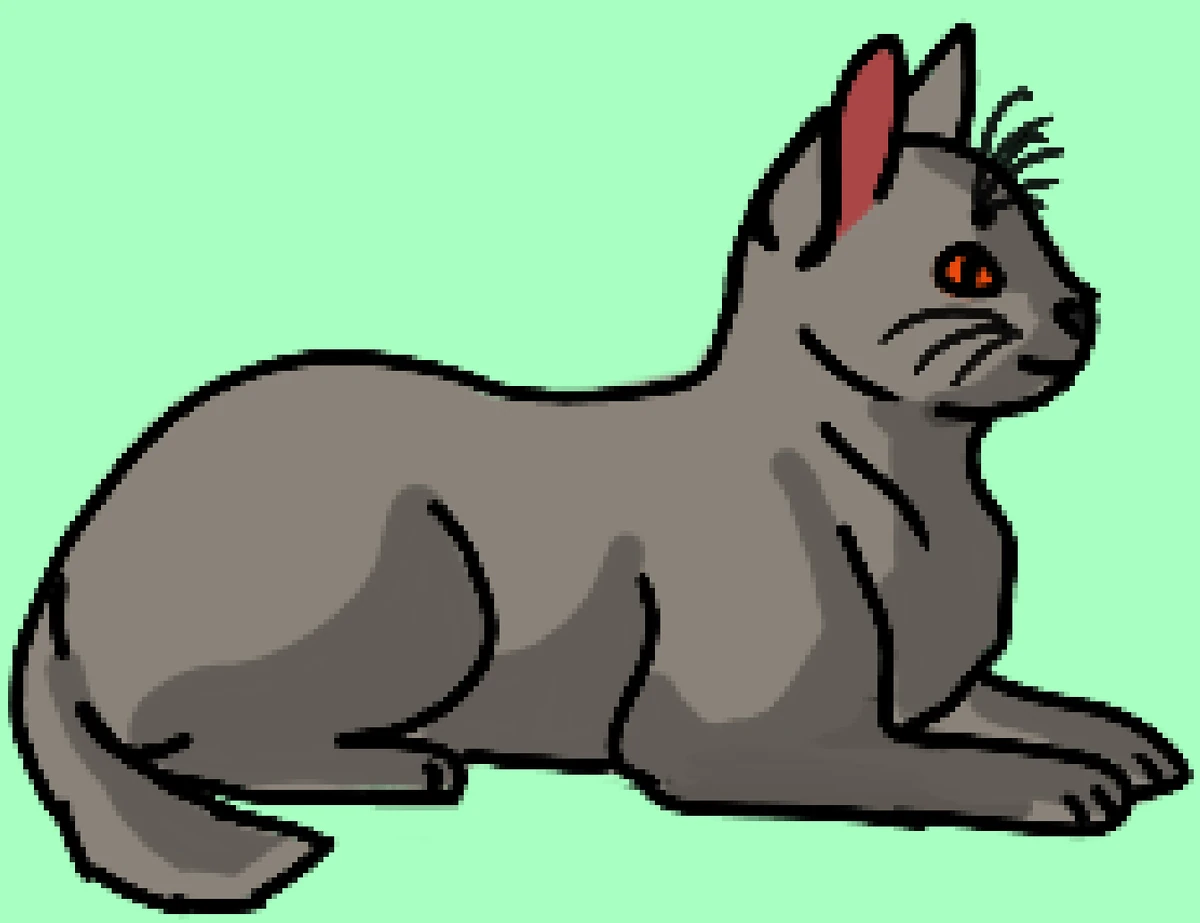 Acorntail | Fan-Made Warrior Cat Wiki | Fandom