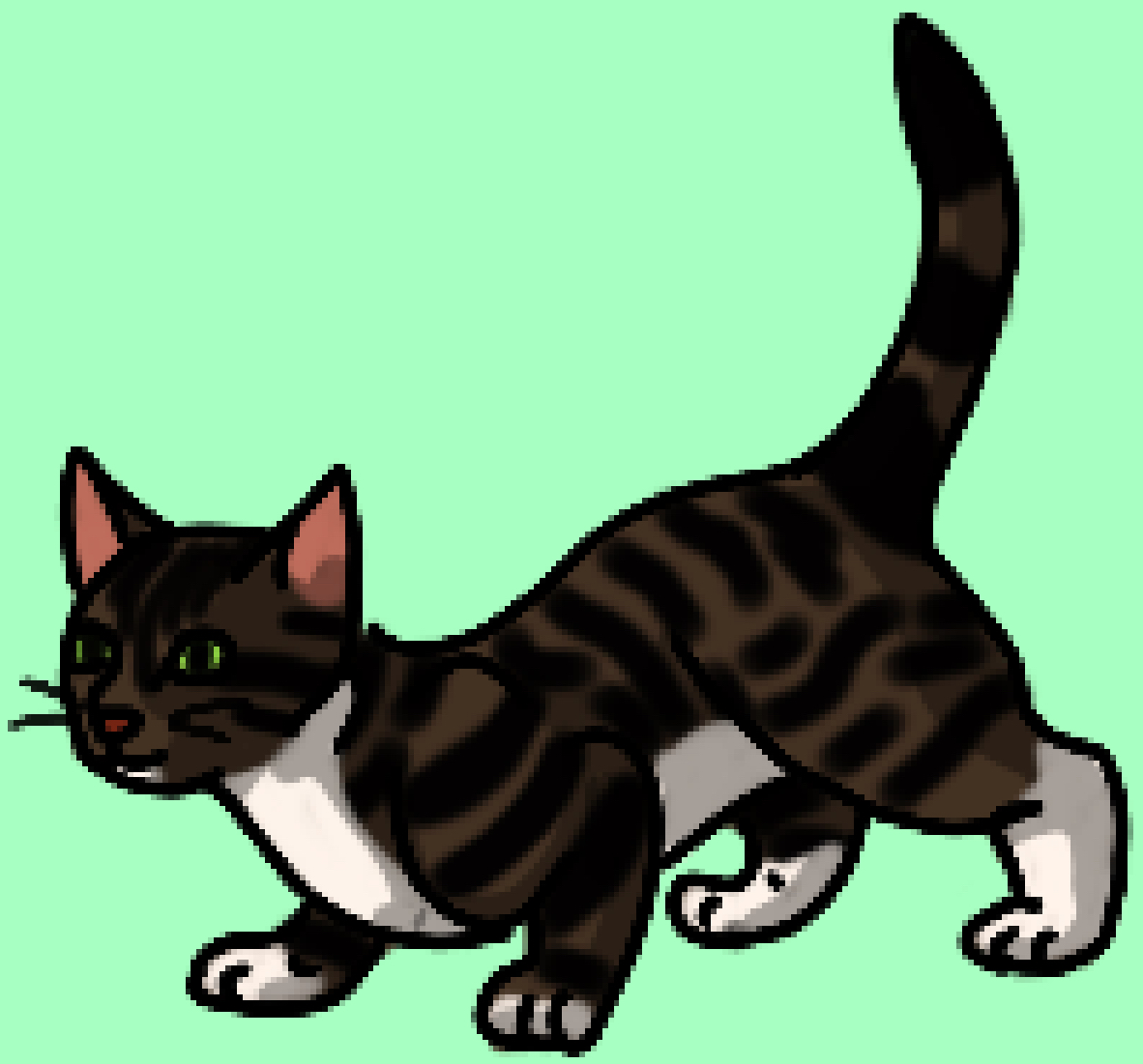 Daisypaw Fan Made Warrior Cat Wiki Fandom
