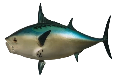 Singing Realistic Fish Head | Fanmade Gemmys Wiki | Fandom