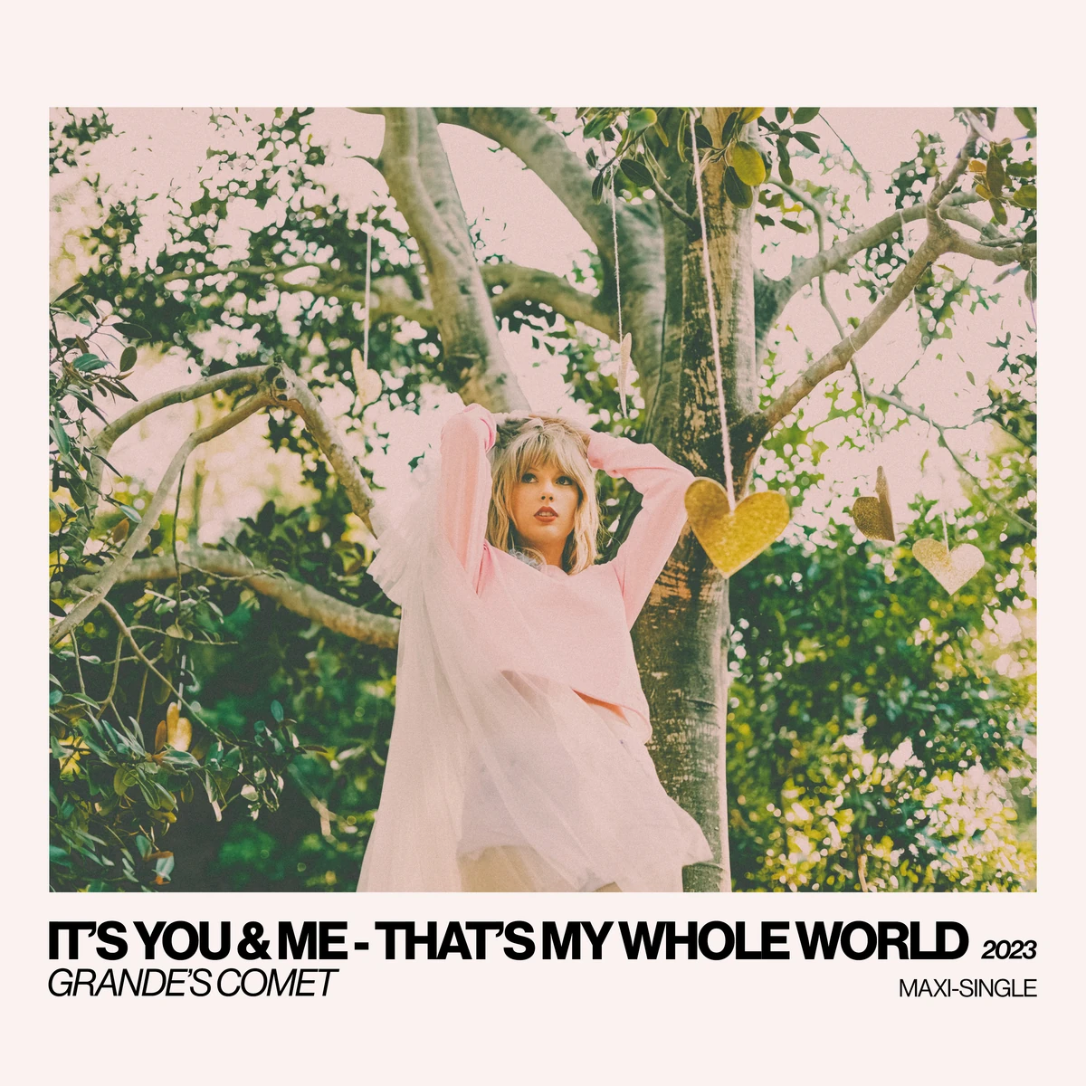 Polaroids | Fan Music Wiki | Fandom