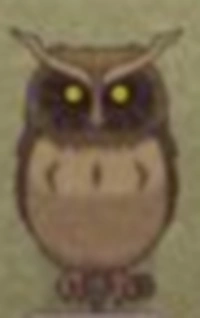 The owl | Wikia Fanon 2.0 | Fandom