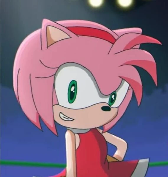 Amy Rose | Cartoon Beatbox Fanon Wiki | Fandom