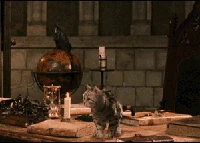 Wizardkind | Harry Potter Fanon Wiki | Fandom