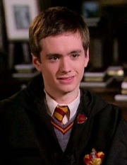 Hogwarts Quidditch Captain | Harry Potter Fanon Wiki | Fandom