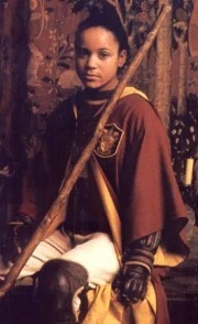 Chaser | Harry Potter Fanon Wiki | Fandom