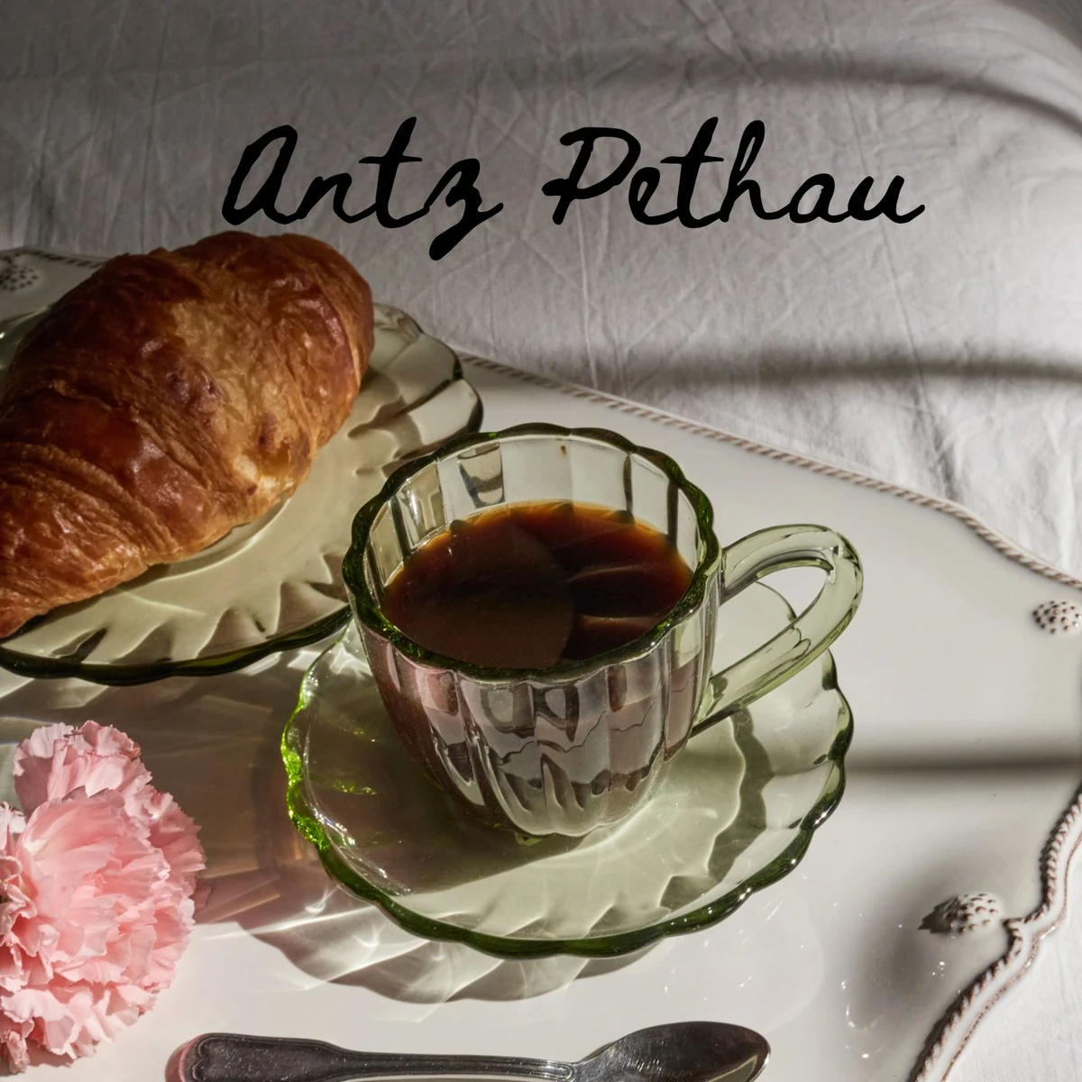 Antz Pethau | Fanon Wiki | Fandom