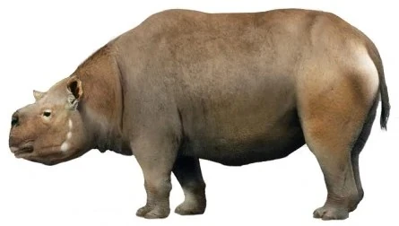 Trigodon (SciiFii) | Fanon Wiki | Fandom