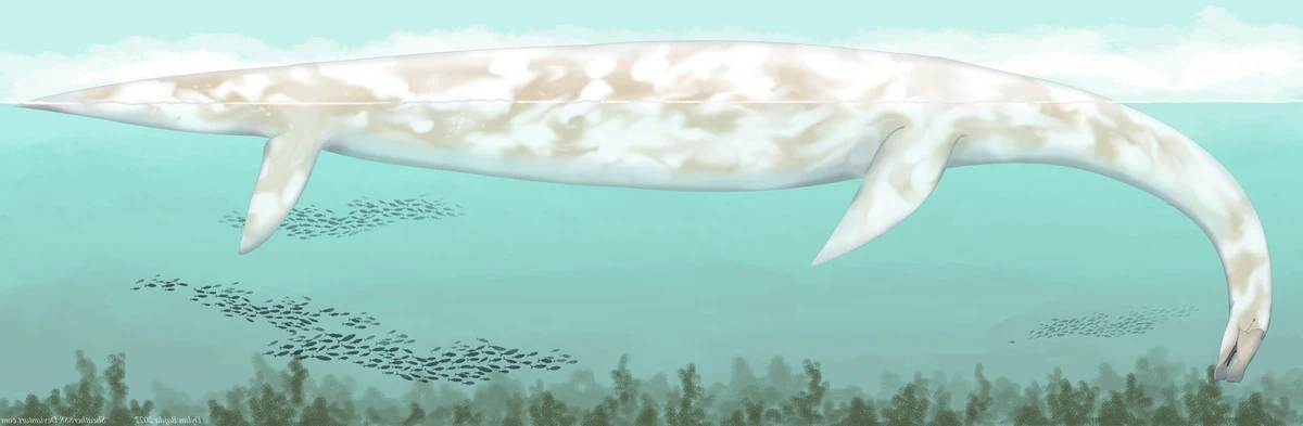 Floating bloat (SciiFii) | Fanon Wiki | Fandom