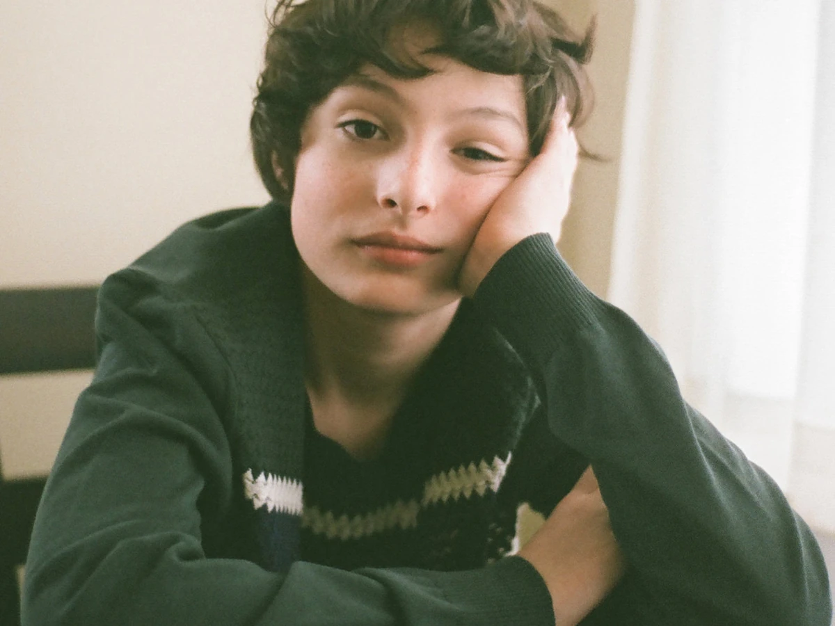 Category:Films featuring Finn Wolfhard | Fanon Wiki | Fandom