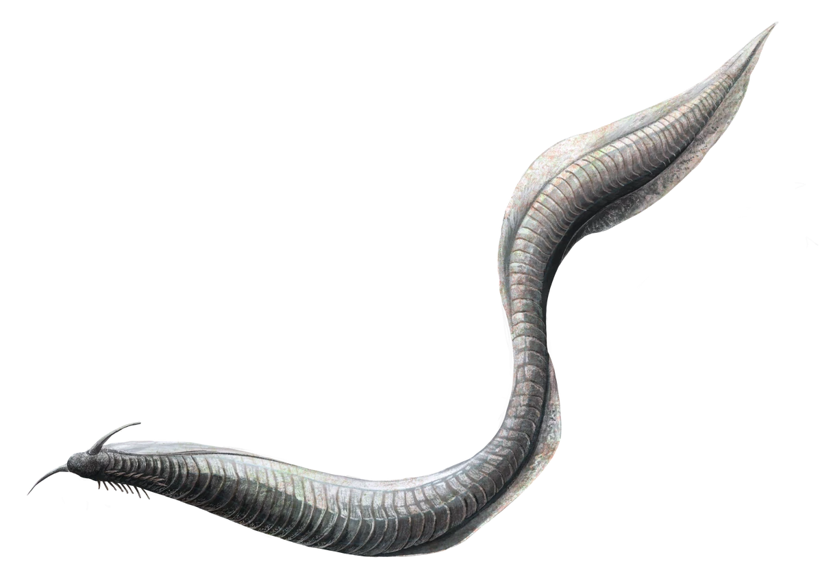 Pikaia (SciiFii) | Fanon Wiki | Fandom