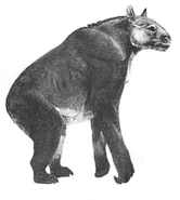 Chalico | Fanon Wiki | Fandom