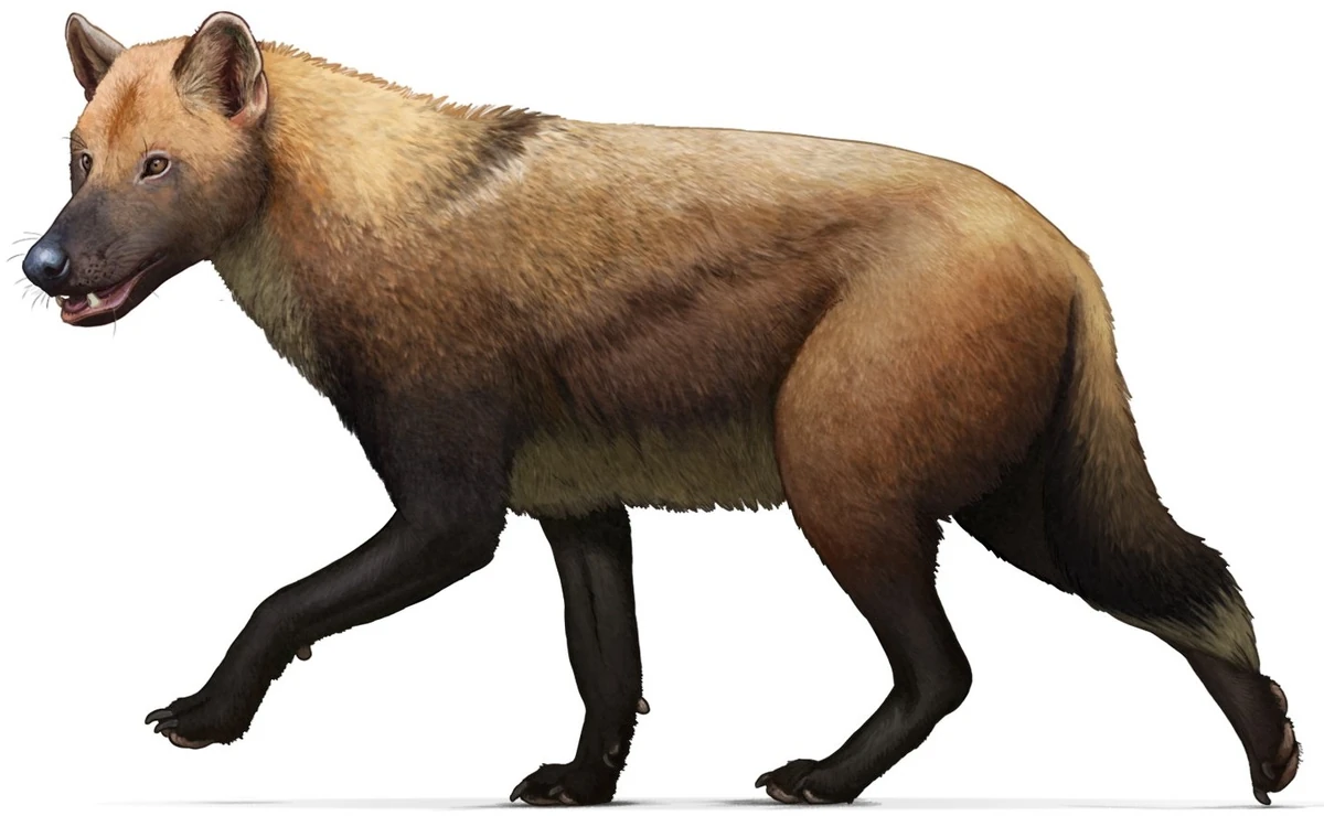 Dire dog (SciiFii) | Fanon Wiki | Fandom