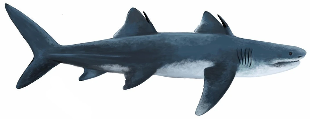 Saivodus (SciiFii) | Fanon Wiki | Fandom