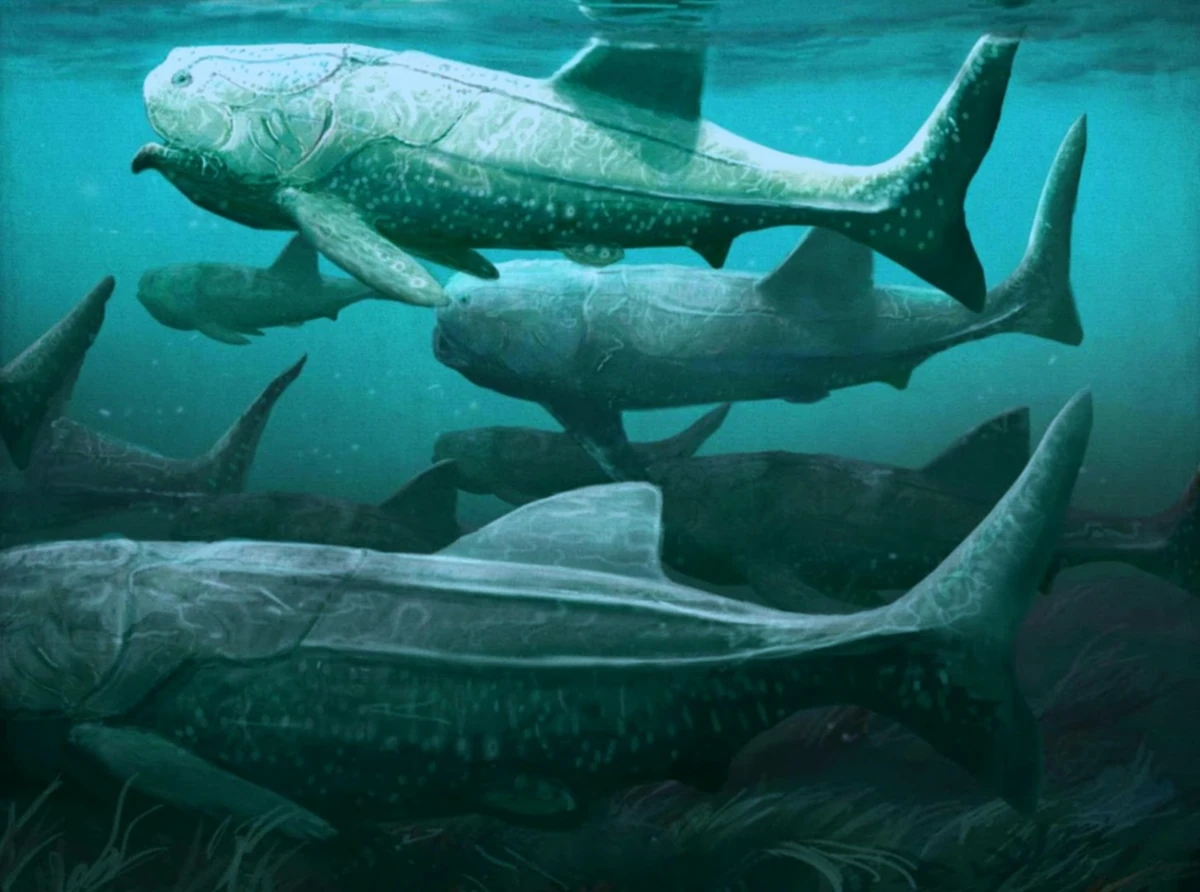 Titanichthys (SciiFii) | Fanon Wiki | Fandom