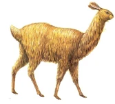 Kaiju Island | Fanon Wiki | Fandom