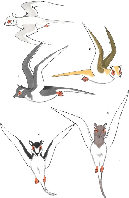 Perching Bat | Fanon Wiki | Fandom