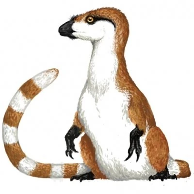 Sinosauropteryx (SciiFii) | Fanon Wiki | Fandom