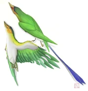 Clown Protobird | Fanon Wiki | Fandom