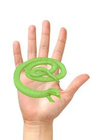 British mole lizard | Fanon Wiki | Fandom