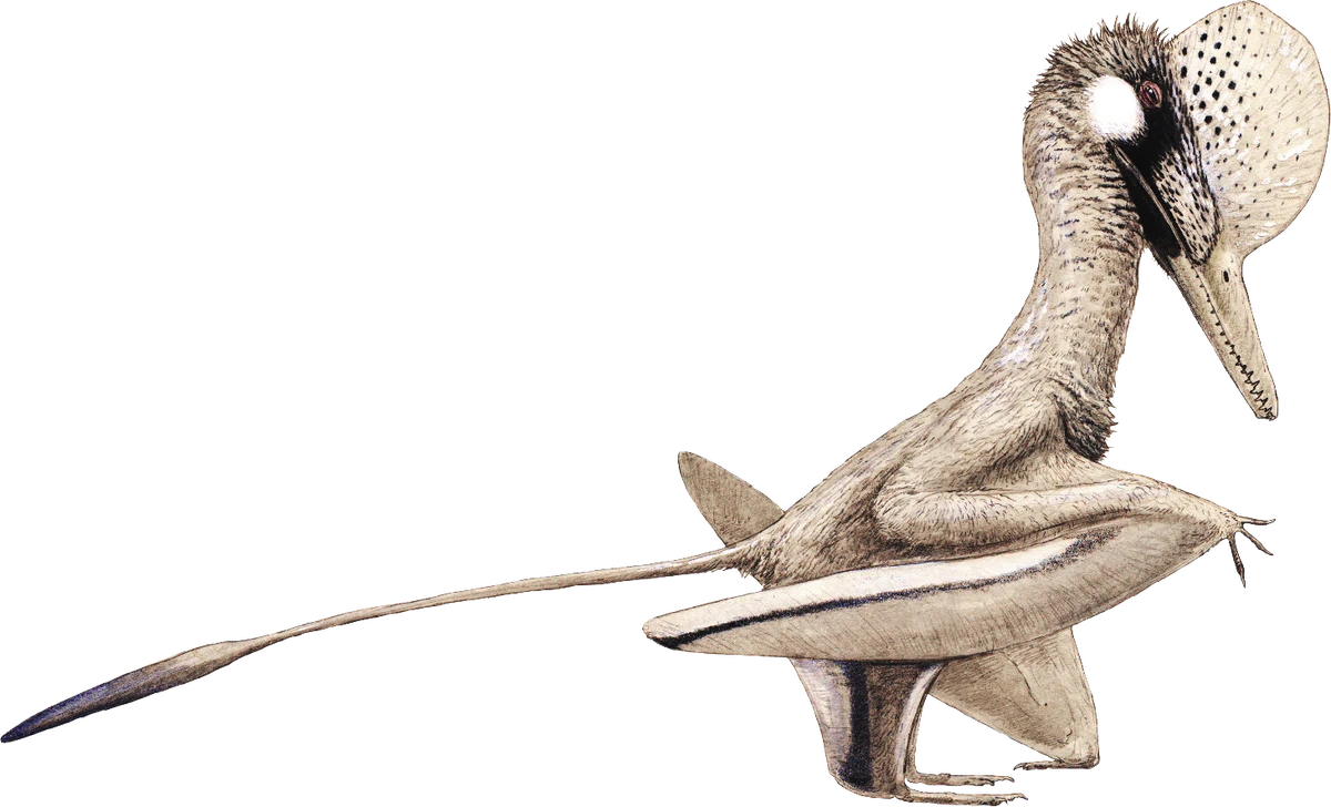 Wukongopterus (SciiFii) | Fanon Wiki | Fandom