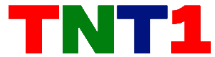 TNT1 (TV Channel) | Fanon Wiki | Fandom