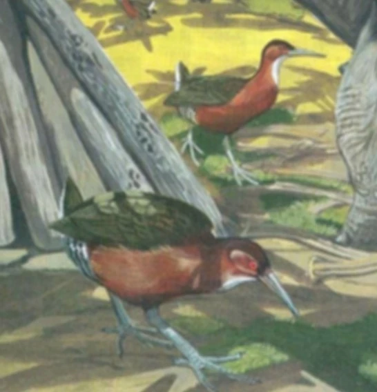 Réunion rail (SciiFii) | Fanon Wiki | Fandom