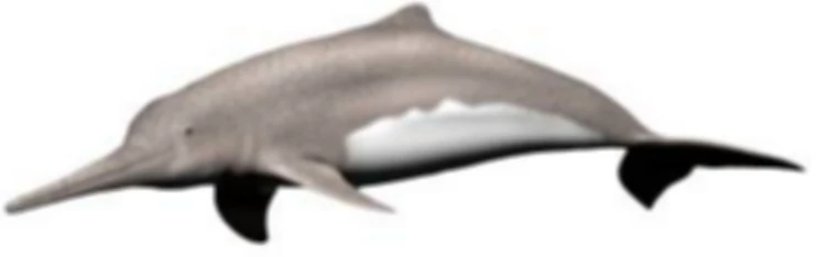 Parapontoporia (SciiFii) | Fanon Wiki | Fandom