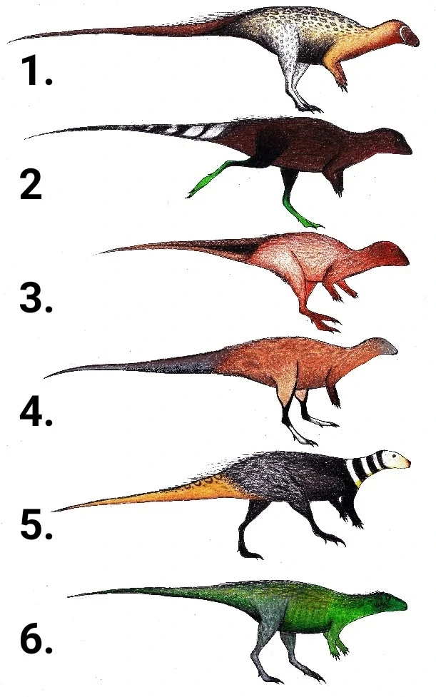Ornithopod Dinosaurs