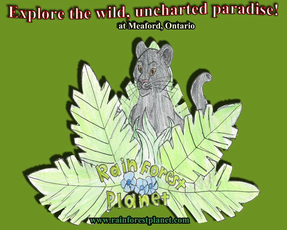 Rainforest Planet | Fanon Wiki | Fandom