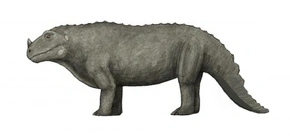 Igus | Fanon Wiki | Fandom