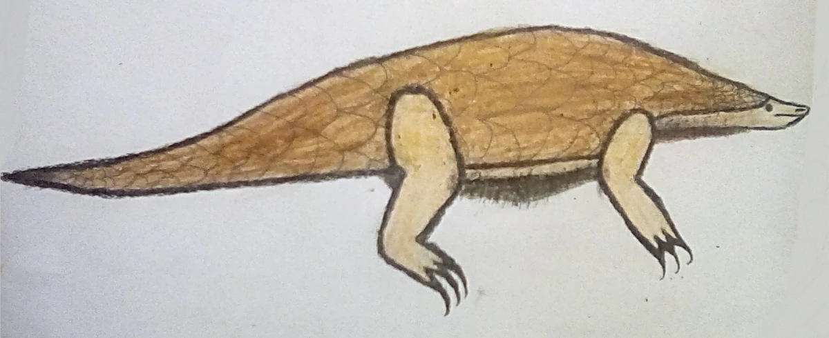 Domestic Mokele | Fanon Wiki | Fandom