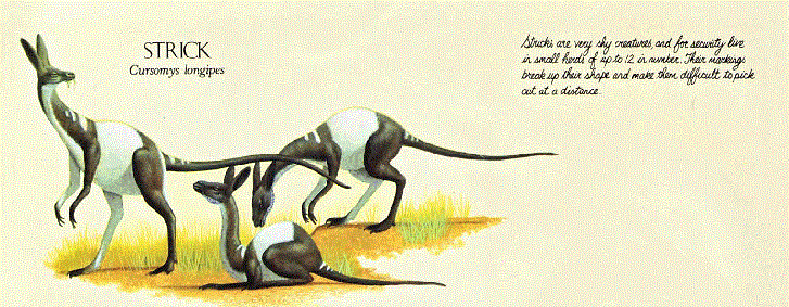 Strick | Fanon Wiki | Fandom