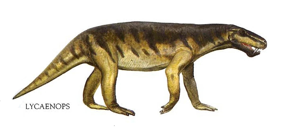 Lycaenops (Lilo and Stitch) | Fanon Wiki | Fandom