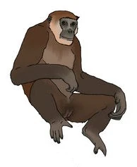 Dryopithecus (SciiFii) | Fanon Wiki | Fandom