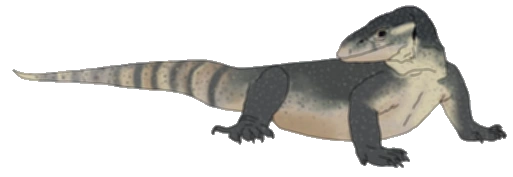 Varanus sivalensis (SciiFii) | Fanon Wiki | Fandom