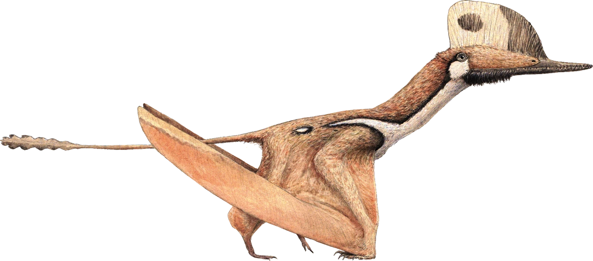 Darwinopterus V2 (SciiFii) | Fanon Wiki | Fandom