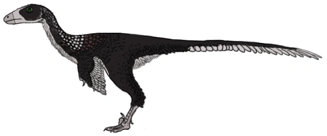 Pectinodon (SciiFii) | Fanon Wiki | Fandom