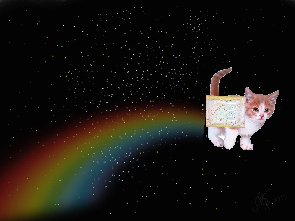 Pop-tart Cats | Fanon Wiki | Fandom