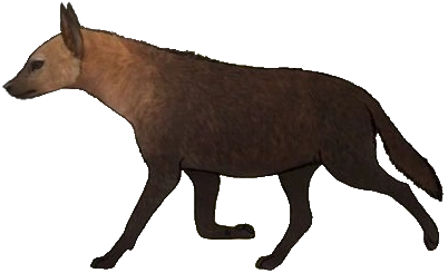 American aardwolf (SciiFii) | Fanon Wiki | Fandom