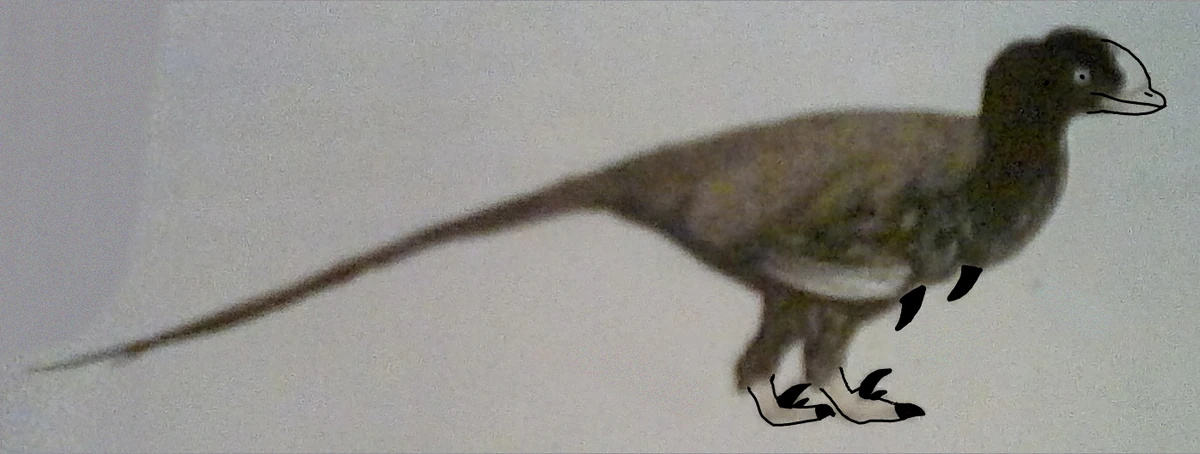 Double-Clawed Wounder | Fanon Wiki | Fandom