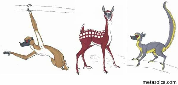 Hawaiian Flightless Bats | Fanon Wiki | Fandom