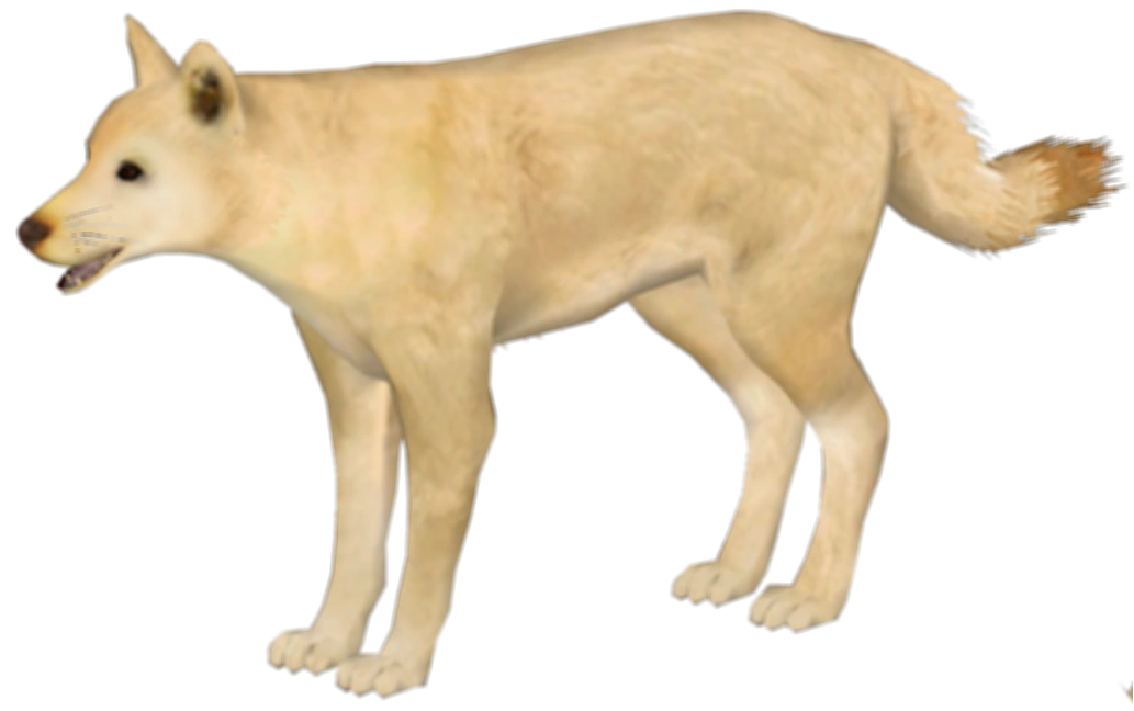 Kurī (SciiFii) | Fanon Wiki | Fandom