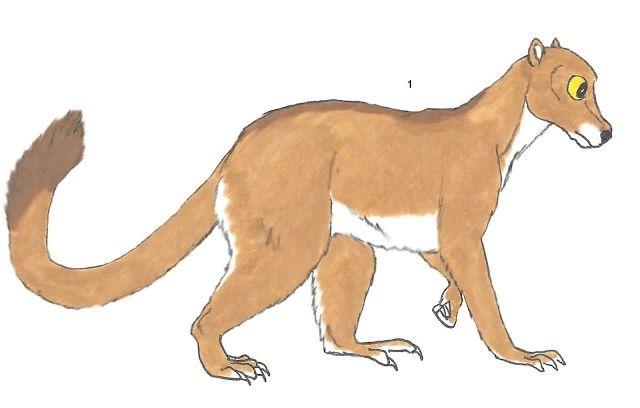 Rear-Clawed Lemur | Fanon Wiki | Fandom