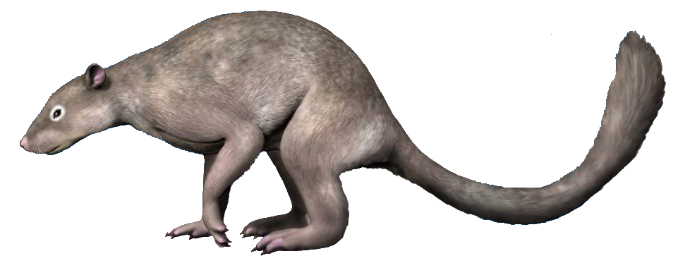 Ignacius (SciiFii) | Fanon Wiki | Fandom