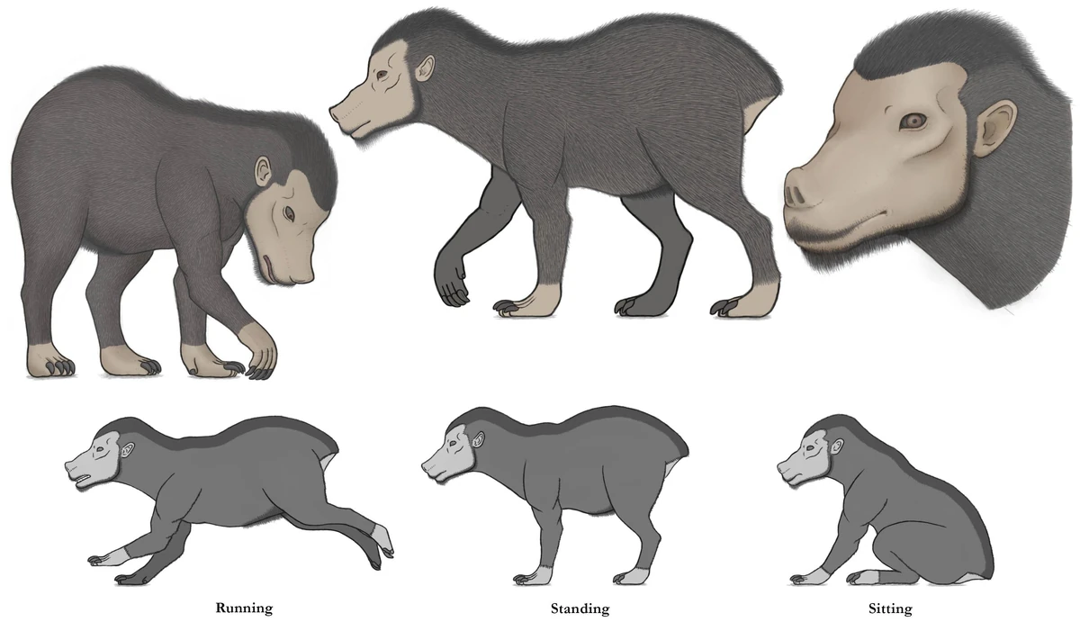 Koota (SciiFii) | Fanon Wiki | Fandom