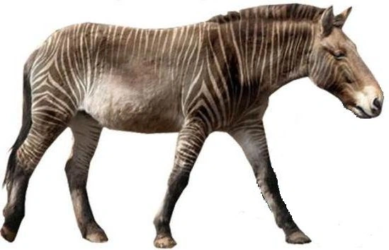 Equus giganteus (SciiFii) | Fanon Wiki | Fandom