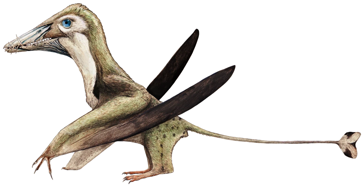 Dorygnathus (SciiFii) | Fanon Wiki | Fandom