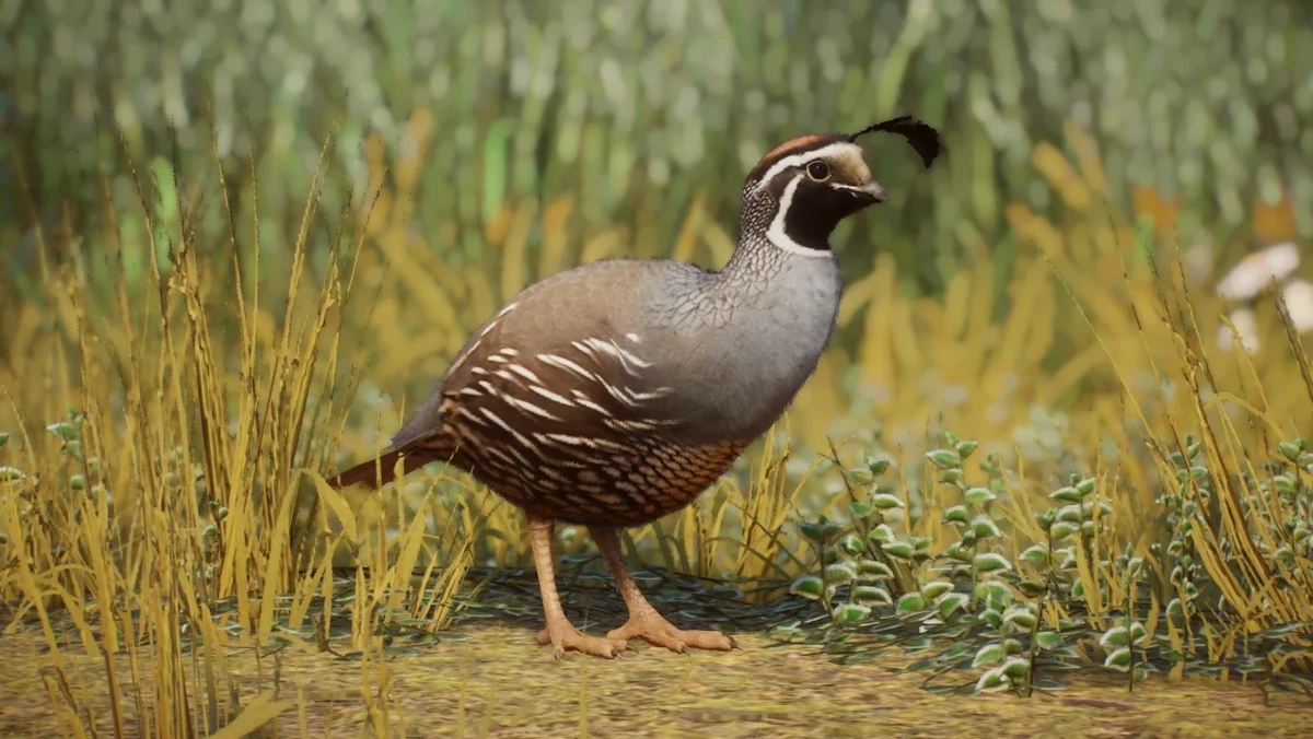 Bijou Animal Pack | Fanon Wiki | Fandom